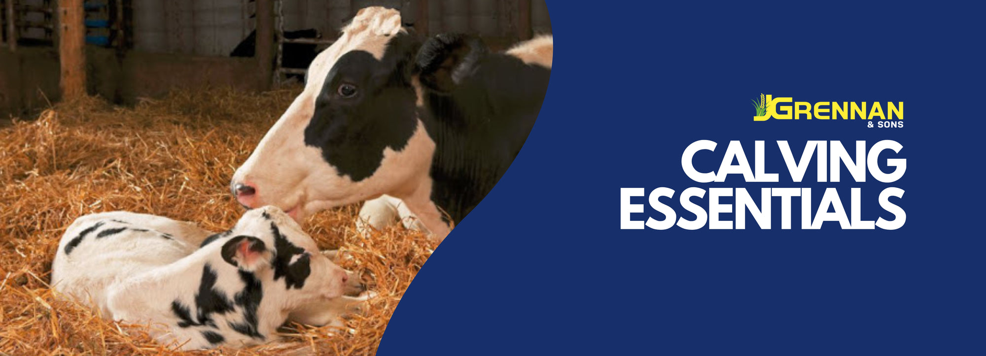 Calving Essentials - Cattle Feeders - Dairy Farm Supplies - J Grennan ...